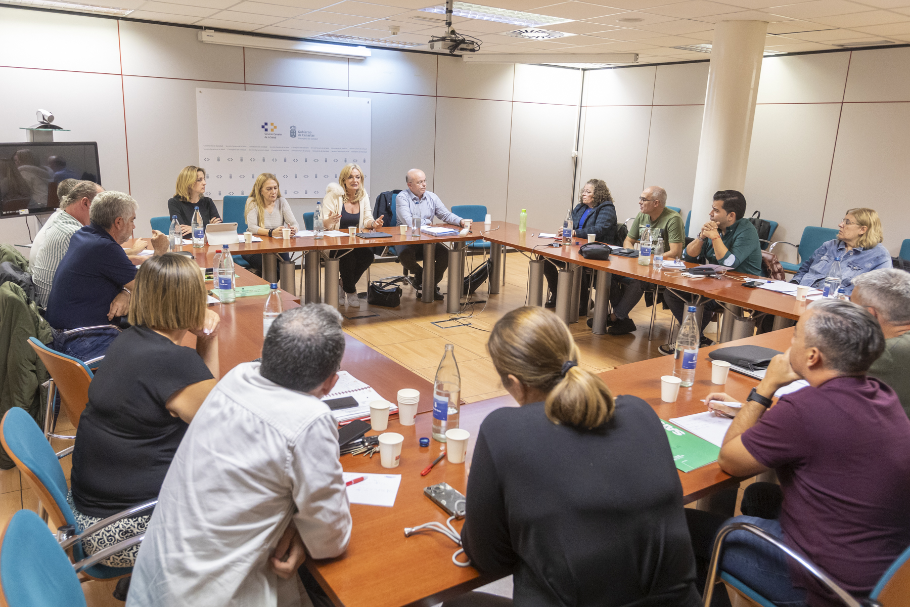 Carrera Profesional ordinaria 2024 del SCS - Canarias